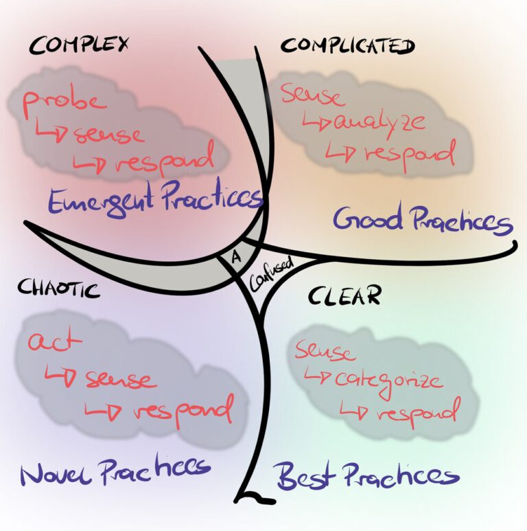 Cynefin: We need to teach this in school! | Dr. Martin Kramer